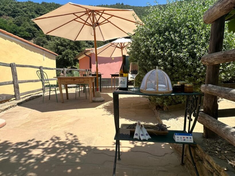 Hiking and wine tasting experience - Practical Tips for Your Hiking and Wine Tasting Adventure