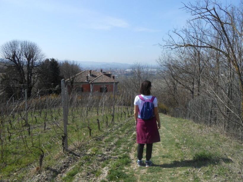 Hiking and wine tour starting from Alba - Key Points