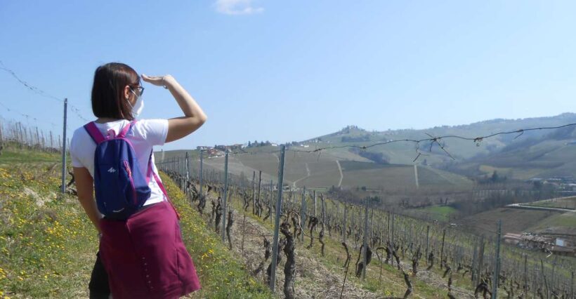 Hiking and wine tour starting from Alba - Why You’ll Love This Tour