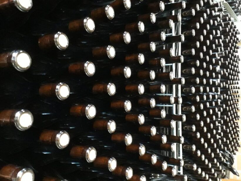 Hiking and wine tour starting from Alba - The Sum Up