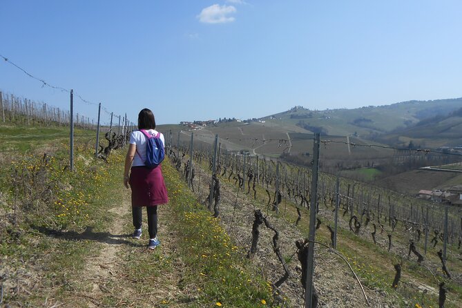 Hiking and wine tour starting from Alba - Introducing the Hiking and Wine Tour Starting from Alba