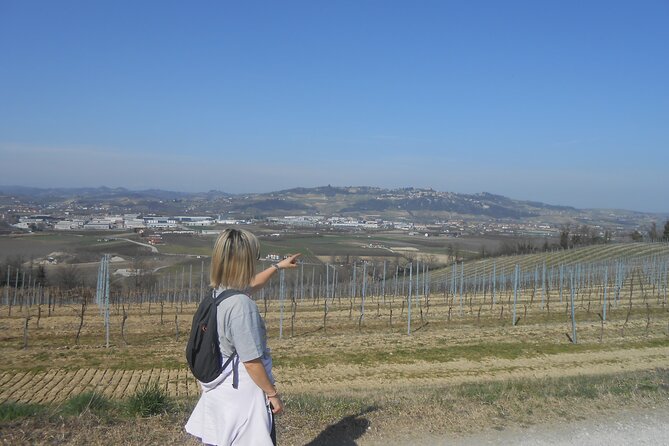 Hiking and wine tour starting from Alba - The Sum Up