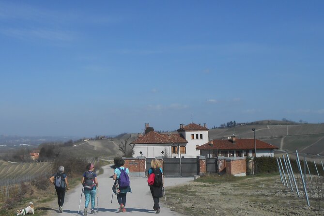 Hiking and wine tour starting from Alba - FAQ