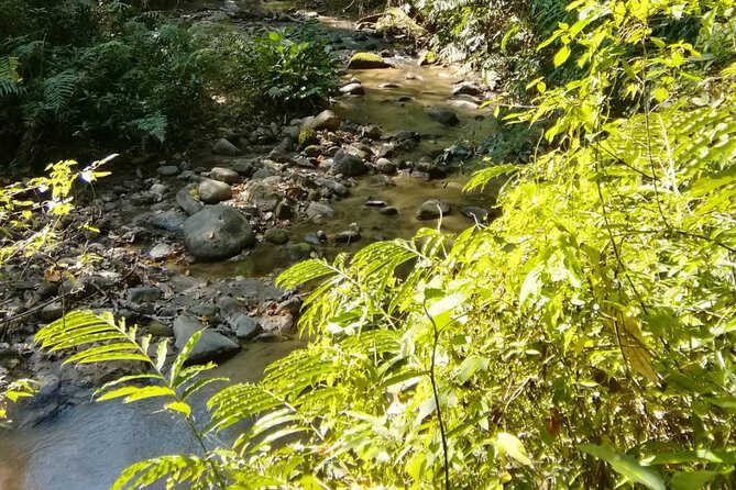 Hiking and Zipline Private Tour from Chiang with Karen Village - Authentic Experiences and Genuine Encounters