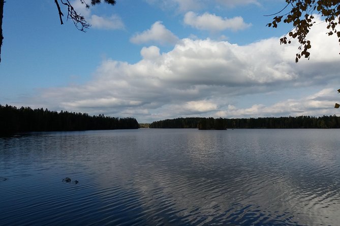 Hiking around forest and lake - Exploring a Finnish Forest and Lake: A Detailed Look at the Hiking Experience