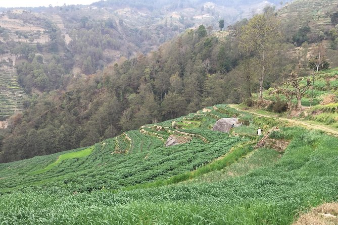 Hiking & city tour in Kathmandu with community Volunteering - Final Thoughts