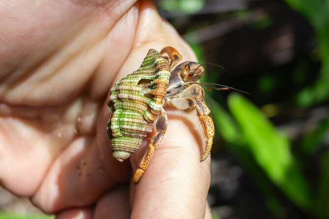 Hiking, Cliffs, Cave, and Taino Legends - FAQs