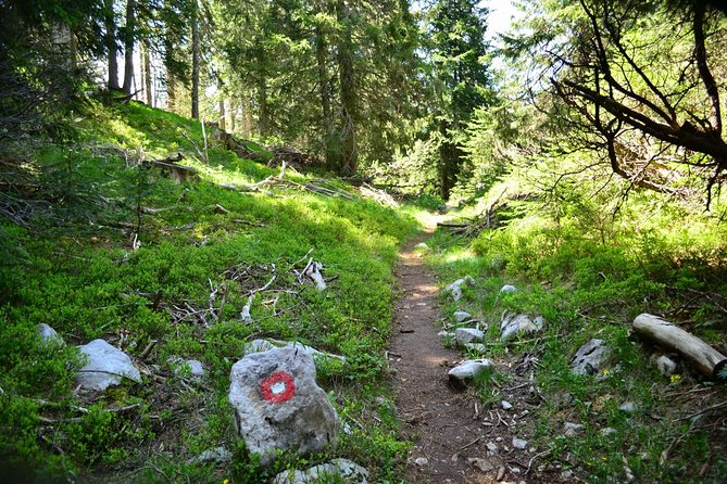 Hiking Cvrsnica mountain - Key Points