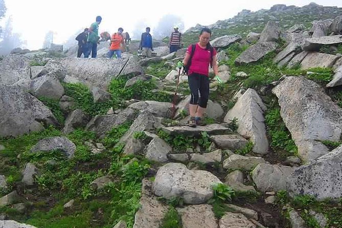 Hiking Day Tour to Triund from Dharamshala - The Value Proposition