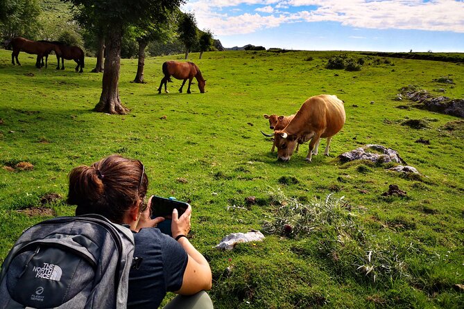 Hiking Experience in Asturias, from Gijón or Oviedo - Transportation and Comfort