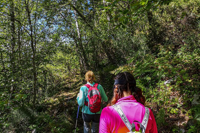 Hiking Experience in Asturias, from Gijón or Oviedo - Authentic Encounters and Unique Highlights