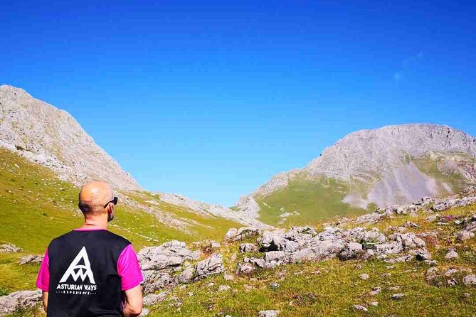 Hiking Experience in Asturias, from Gijón or Oviedo - Who Will Love This Tour?