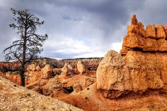Hiking Experience in Bryce Canyon National Park - Customer Experiences and Feedback