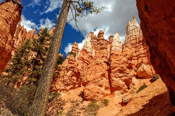 Hiking Experience in Bryce Canyon National Park - Must-See Trails in Bryce Canyon