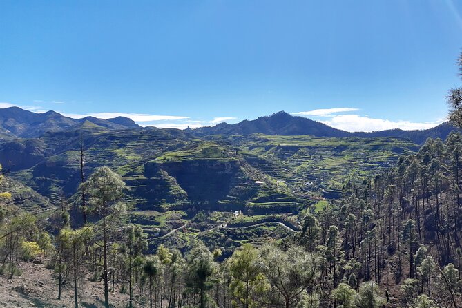 Hiking Experience in the North of Gran Canaria - Meeting and Pickup Details