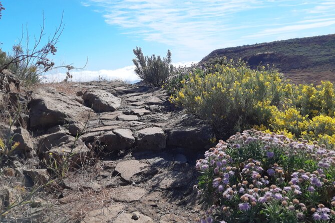 Hiking Experience in the North of Gran Canaria - Requirements and Recommendations