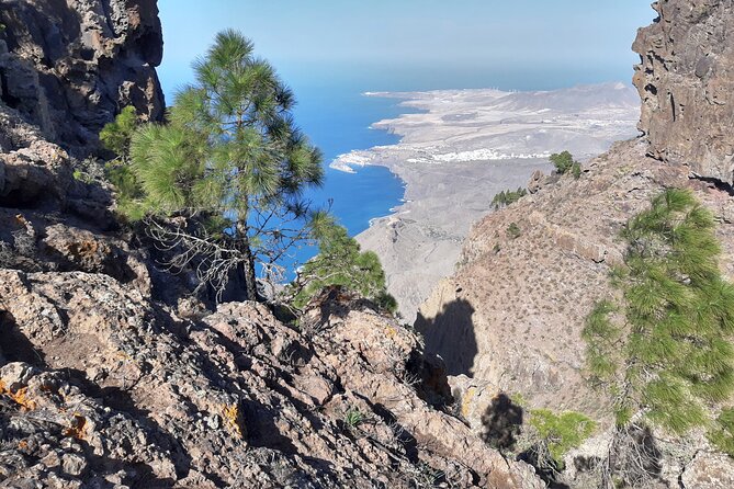 Hiking Experience in the North of Gran Canaria - Highlights of the Hiking Trail