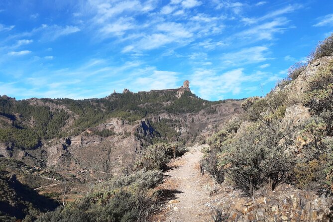 Hiking Experience in the North of Gran Canaria - What to Expect on the Tour
