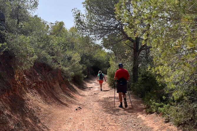 Hiking guide tours in Ibiza - Explore stunning views with us! IHL - The Sum Up