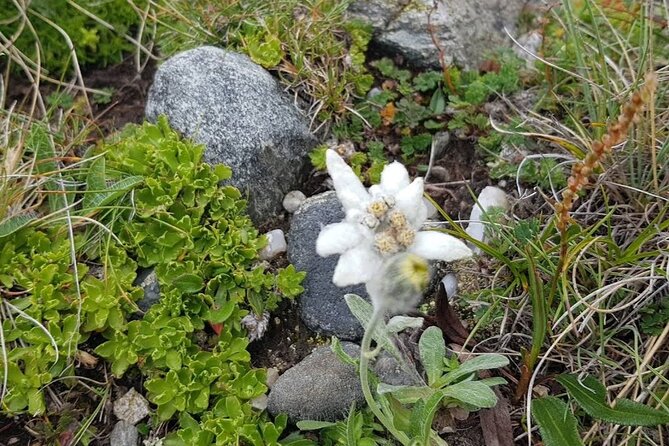 Hiking in Bucegi Mountains in the Carpathians, Private tour - The Sum Up