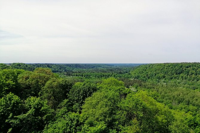 Hiking in Gauja National Park - Visiting Krimulda Castle Ruins