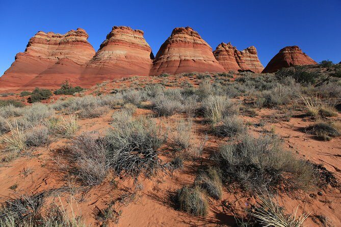Hiking in Kanab: Famous Teepees of Vermilion Cliffs National Monument near Wave - Practical Tips for Participants