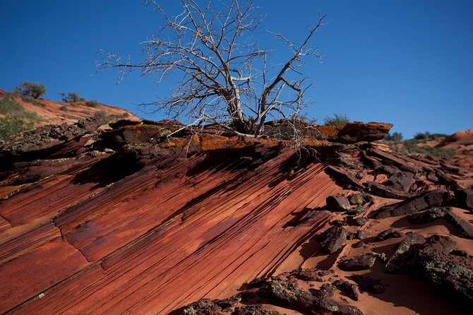 Hiking in Kanab: Walk and Photograph the incredible Wire Pass Slot Canyon! - The Value of the Experience