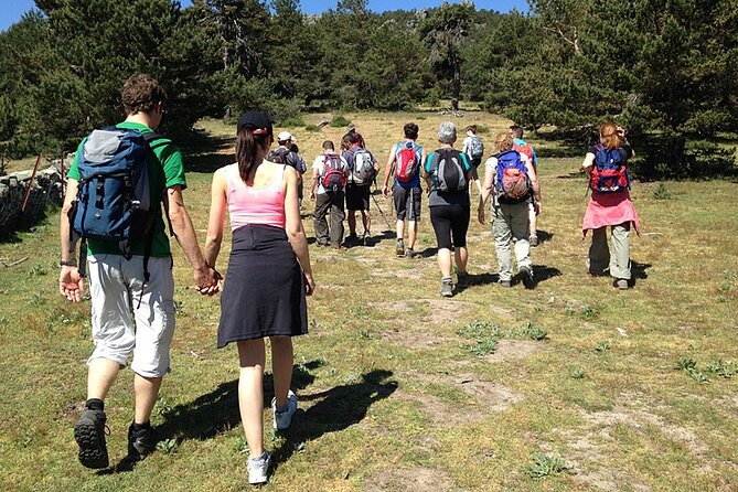 Hiking in Madrid National Park with Transport - FAQ
