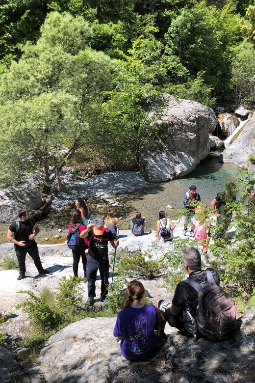 Hiking in Mt Olympus National Park - Why This Tour Stands Out