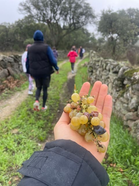 Hiking in Nature: Guided paths passing through Marvão - The Value of this Experience