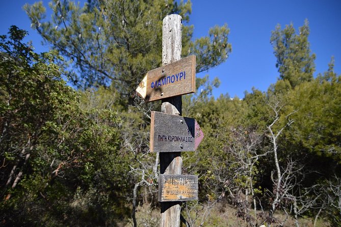 Hiking in Parnitha National Park from Athens - The Sum Up