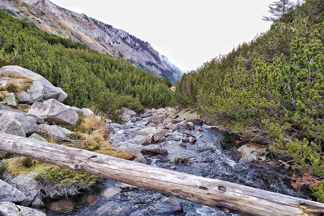Hiking in Pirin- the UNESCO World Heritage Natural Park with a visit of Bansko - Transportation and Timing