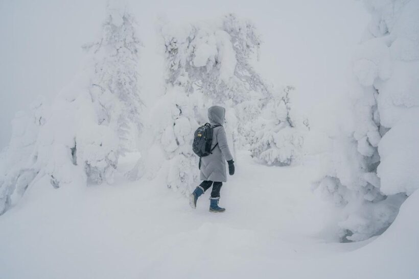 Hiking in Riisitunturi National Park with Photographer - Exploring Riisitunturi National Park with a Photographer: An In-Depth Review