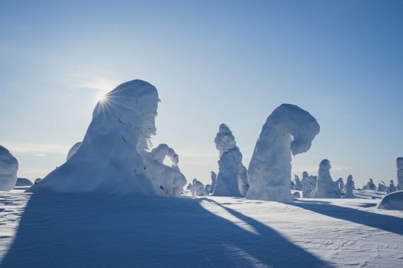 Hiking in Riisitunturi National Park with Photographer - The Sum Up