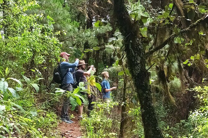 Hiking in Sierra Norte the most spectacular trails in Oaxaca - The Sum Up