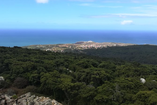 Hiking in Sintra-Cascais Natural Park - Navigating the Rugged Hiking Trails
