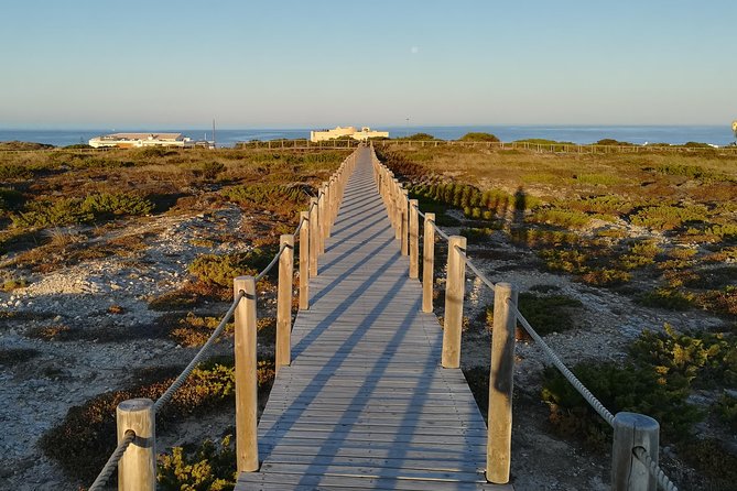 Hiking in Sintra-Cascais Natural Park - Meeting the Group and Beginning the Tour