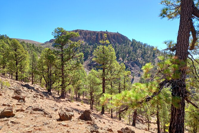 Hiking in Tenerifes Great Outdoors - Health and Safety Considerations