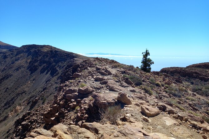 Hiking in Tenerifes Great Outdoors - Accessibility and Physical Fitness Requirements