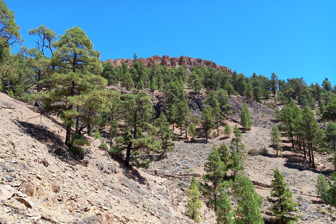 Hiking in Tenerifes Great Outdoors - Connecting With Local History and Traditions