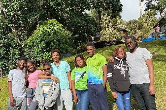 Hiking in the Blue Mountains. - Transportation and Timing: What to Know