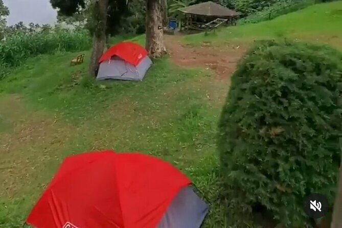 Hiking in the Blue Mountains. - Authentic Experiences and Local Flavor