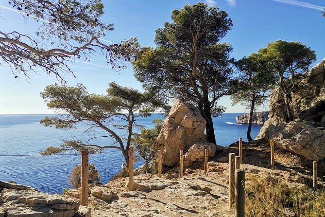 Hiking in the Calanques National Park From Luminy - What to Expect During the Experience