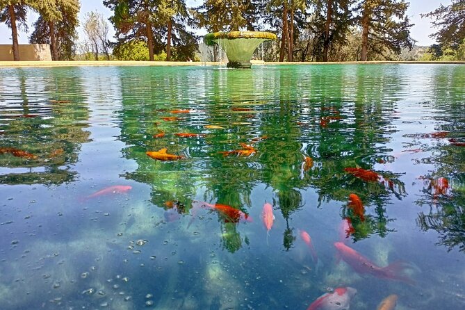 Hiking in the Forest & Stunning Italian Ghost Town of Rhodes! - Final Thoughts: Who Is This Tour For?