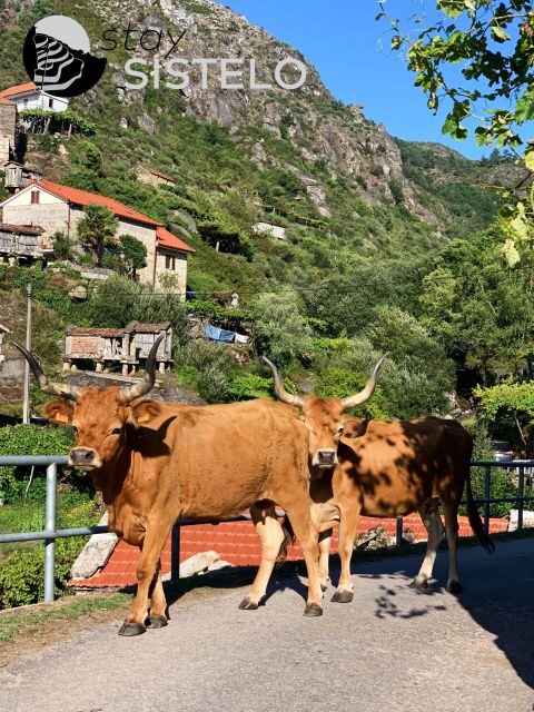 Hiking in the "Mini Tibet" of Portugal - Key Points