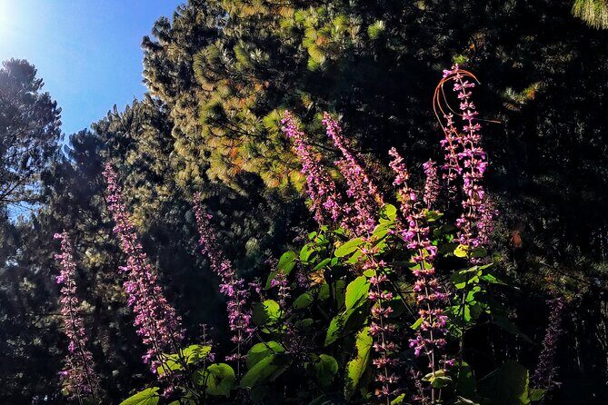 Hiking in the Sierra Norte of Oaxaca - Final Words