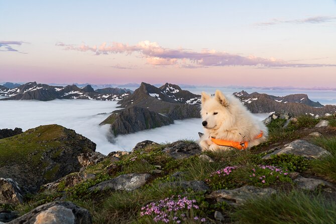 Hiking Into the Wilderness Of the Lofoten Islands Norway - Value and Who Should Consider This Tour