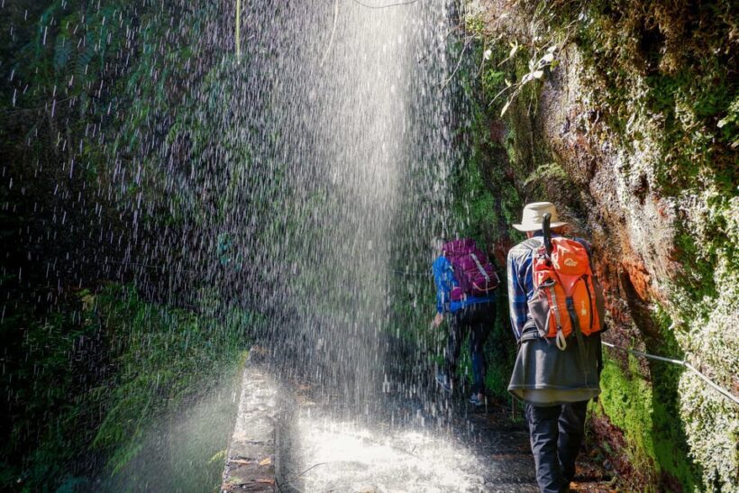 Hiking Madeira: Levada do Rei and the Majestic Laurissilva - Key Points