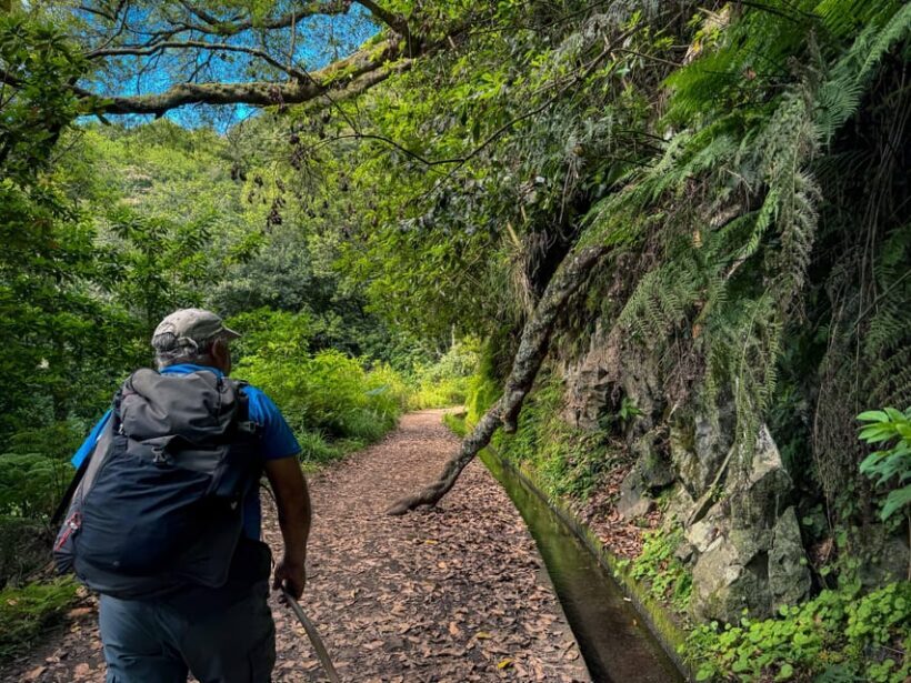 Hiking Madeira: Levada do Rei and the Majestic Laurissilva - A Deep Dive into the Madeira Levada do Rei Experience