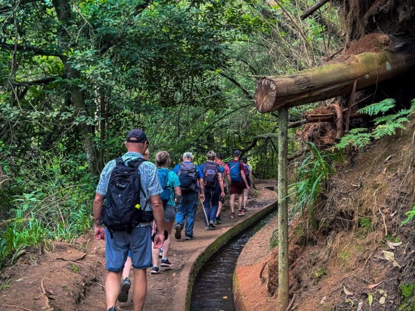 Hiking Madeira: Levada do Rei and the Majestic Laurissilva - Frequently Asked Questions